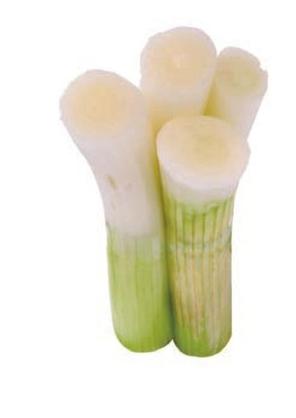 葱白图片大全_葱白高清图鉴-第1张图片-山城妙识