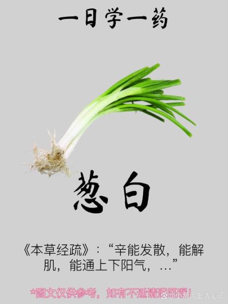 葱白图片大全_葱白高清图鉴-第2张图片-山城妙识