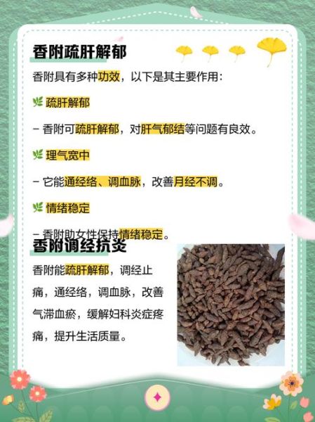 香附和附子是同一味中药吗_功效区别与使用禁忌-第3张图片-山城妙识