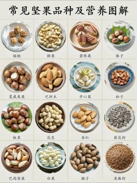 坚果有哪些种类_常见坚果名称大全-第1张图片-山城妙识