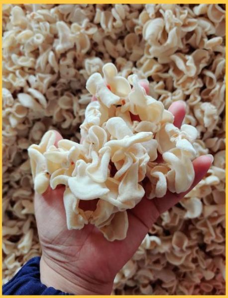 野生白木耳图片_如何辨别真假野生白木耳-第3张图片-山城妙识