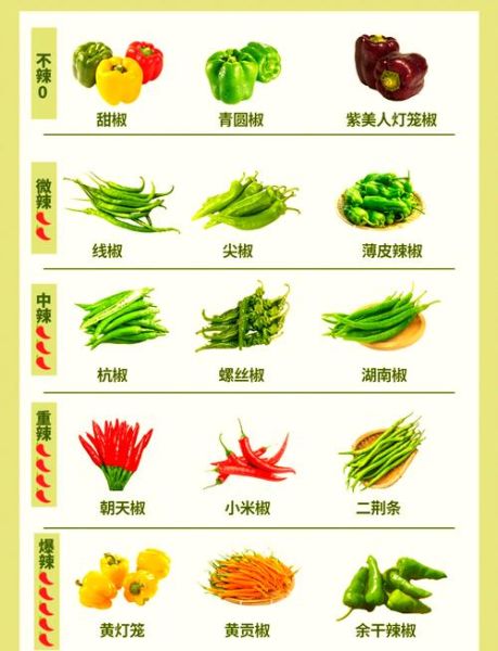辣椒品种大全及图片名称_如何区分辣椒种类-第2张图片-山城妙识