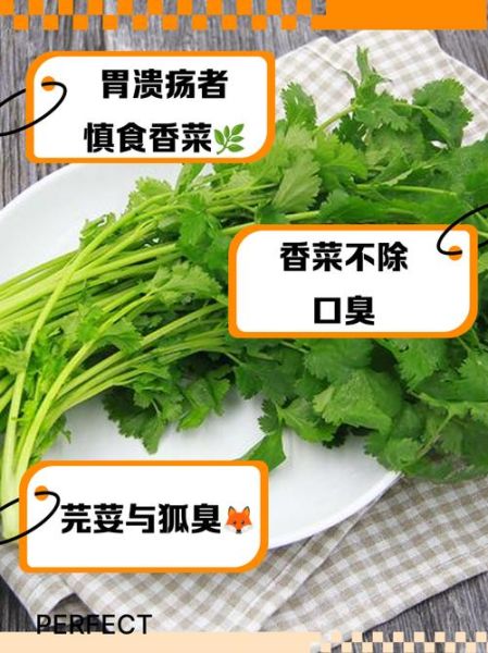 芫茜的功效与作用_芫茜怎么吃最好-第3张图片-山城妙识