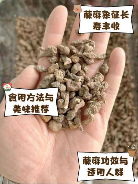 蕨麻孕妇可以吃吗_蕨麻对孕妇的好处与禁忌-第2张图片-山城妙识