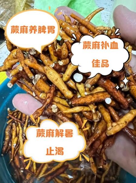 蕨麻孕妇可以吃吗_蕨麻对孕妇的好处与禁忌-第3张图片-山城妙识