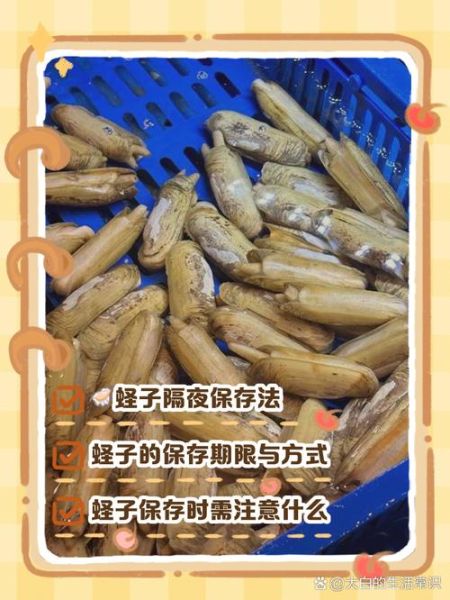 蛏子全部开口了是死是活_如何判断蛏子新鲜度-第3张图片-山城妙识