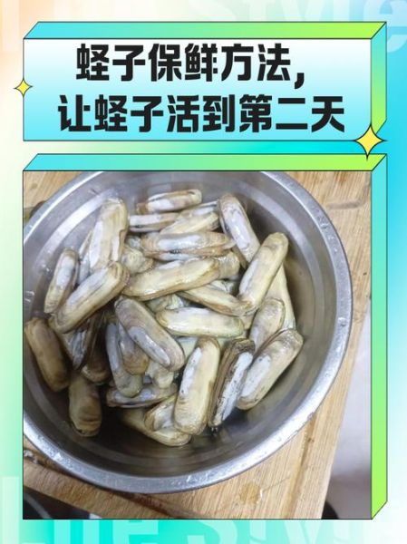 蛏子全部开口了是死是活_如何判断蛏子新鲜度-第2张图片-山城妙识