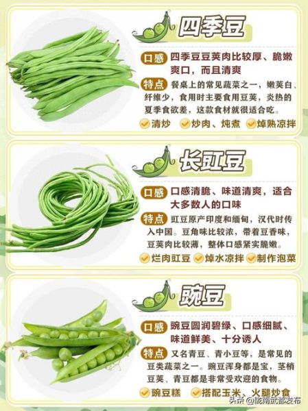 豇豆是什么豆_豇豆和四季豆区别-第1张图片-山城妙识