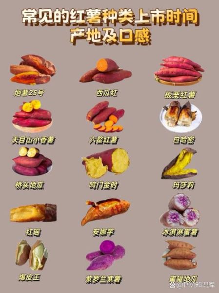红薯图片大全_红薯品种怎么区分-第3张图片-山城妙识