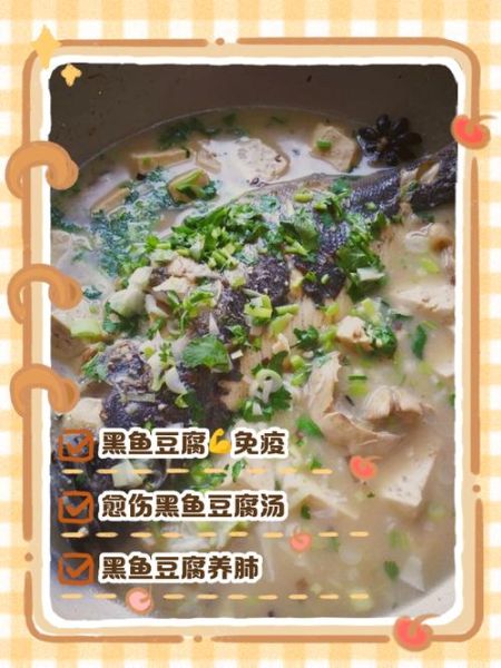 黑鱼豆腐汤的功效与作用_孕妇可以喝吗-第3张图片-山城妙识 黑鱼豆腐汤的功效与作用_孕妇可以喝吗-第3张图片-山城妙识