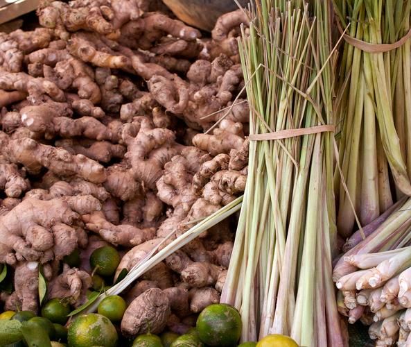 沙姜长什么样_沙姜图片大全哪里找-第3张图片-山城妙识 沙姜长什么样_沙姜图片大全哪里找-第3张图片-山城妙识