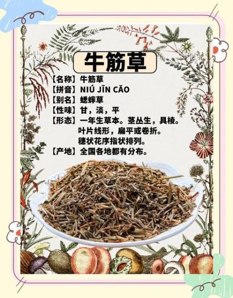 牛筋草的功效与作用_牛筋草怎么泡水喝-第3张图片-山城妙识 牛筋草的功效与作用_牛筋草怎么泡水喝-第3张图片-山城妙识