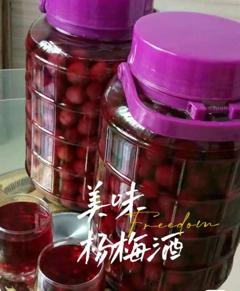 杨梅酒怎么泡_六斤杨梅酒制作方法比例-第1张图片-山城妙识