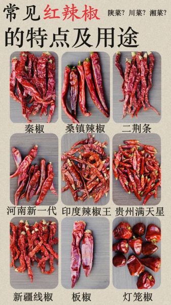 大辣椒图片_如何识别不同品种-第3张图片-山城妙识