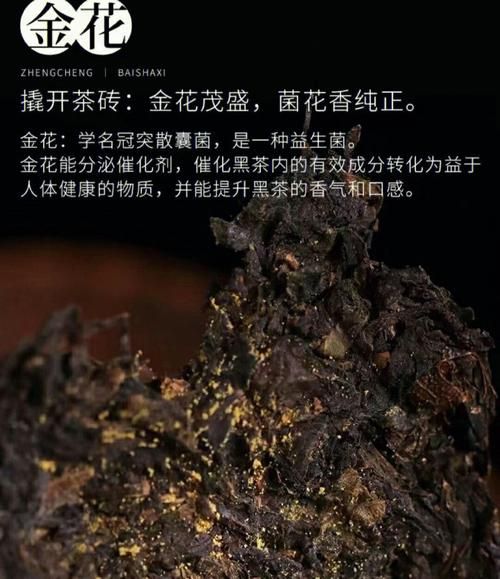 安化黑茶的功效与作用_适合哪些人喝-第2张图片-山城妙识