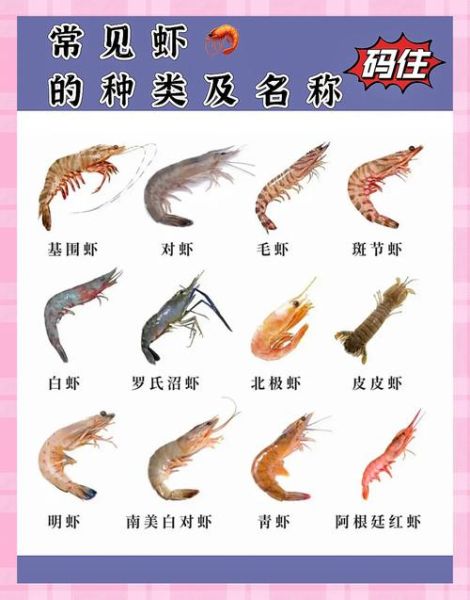 海虾和河虾的区别_如何挑选更新鲜-第3张图片-山城妙识