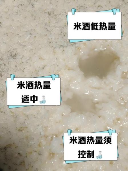 米酒热量高为什么减肥_减肥期间能喝米酒吗-第2张图片-山城妙识