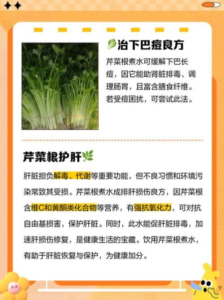 芹菜根的功效与作用_芹菜根怎么吃效果最好-第1张图片-山城妙识