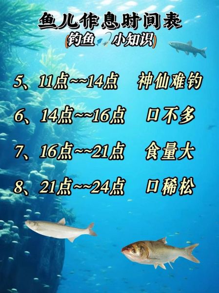 鱼糕钓鱼时钟怎么用_鱼糕钓鱼时钟适合什么鱼-第1张图片-山城妙识