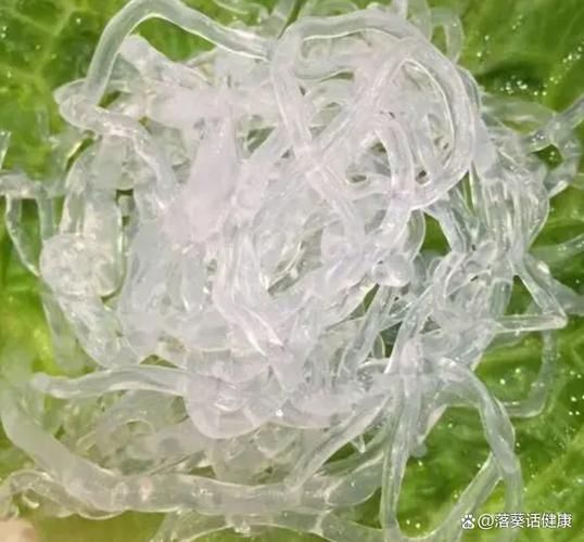 人造海蜇丝是什么做的_人造海蜇丝有危害吗-第1张图片-山城妙识