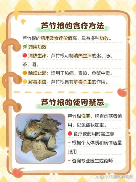 芦根的功效与作用禁忌_孕妇能吃吗-第1张图片-山城妙识