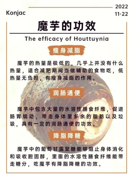 魔芋是什么做的原材料_魔芋粉怎么来的-第1张图片-山城妙识 魔芋是什么做的原材料_魔芋粉怎么来的-第1张图片-山城妙识