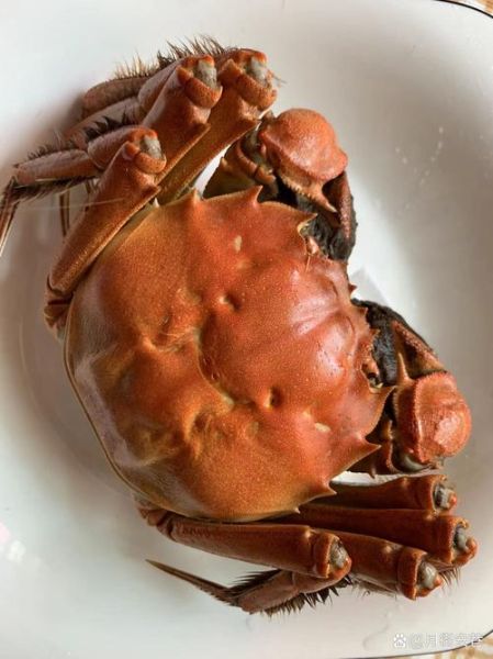 清水煮螃蟹要煮多久_螃蟹煮多久才熟-第3张图片-山城妙识