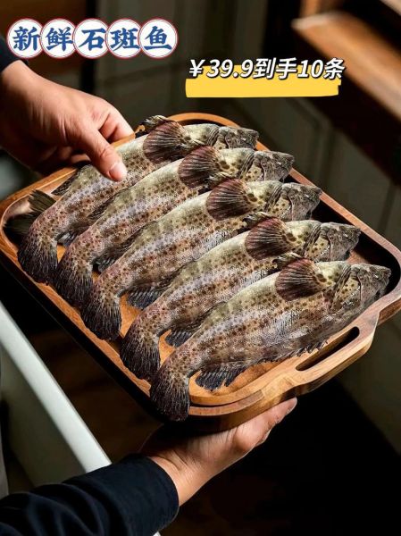 野生淡水石斑鱼多少钱一斤_哪里能买到正宗货-第3张图片-山城妙识