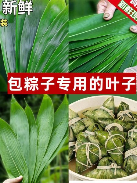 粽子叶在哪里买_粽子叶购买渠道-第1张图片-山城妙识 粽子叶在哪里买_粽子叶购买渠道-第1张图片-山城妙识