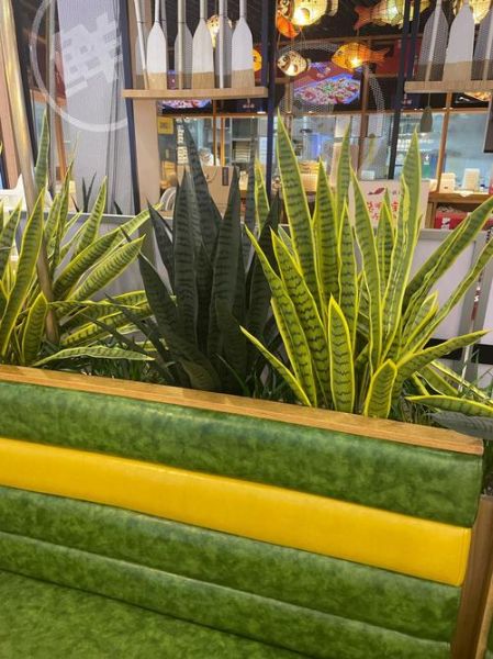 鱼肉水饺怎么做_鱼肉水饺馅怎么调才嫩-第3张图片-山城妙识 鱼肉水饺怎么做_鱼肉水饺馅怎么调才嫩-第3张图片-山城妙识