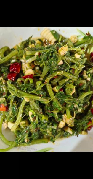 山野菜怎么做好吃_山野菜的家常做法-第1张图片-山城妙识