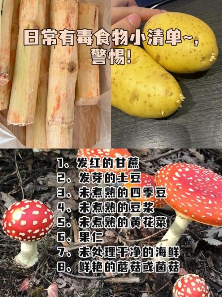 食物中毒症状吃什么药_如何快速缓解-第2张图片-山城妙识