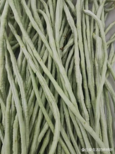 豇豆图片大全哪里找_豇豆怎么拍才好看-第2张图片-山城妙识