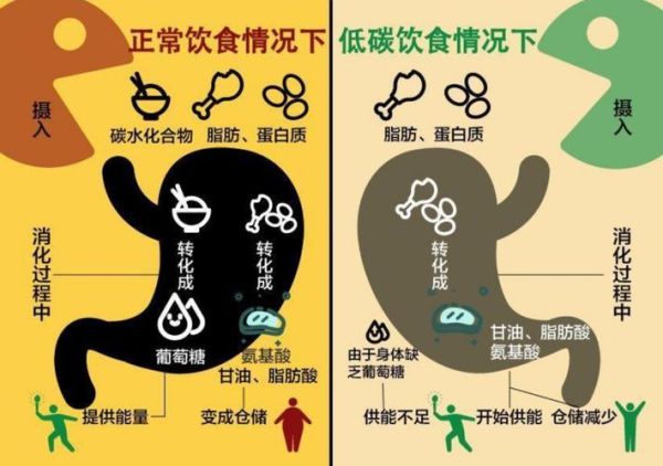 阿特金斯减肥法_如何科学执行低碳高脂饮食-第3张图片-山城妙识 阿特金斯减肥法_如何科学执行低碳高脂饮食-第3张图片-山城妙识