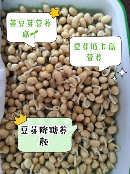 绿豆芽的热量是多少_绿豆芽减肥能吃吗-第3张图片-山城妙识 绿豆芽的热量是多少_绿豆芽减肥能吃吗-第3张图片-山城妙识