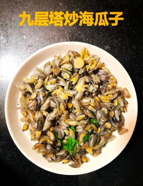 海瓜子的功效与作用_海瓜子怎么吃最营养-第1张图片-山城妙识