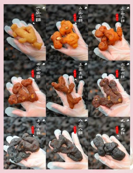 九蒸九晒黄精的功效与作用_适合哪些人吃-第2张图片-山城妙识