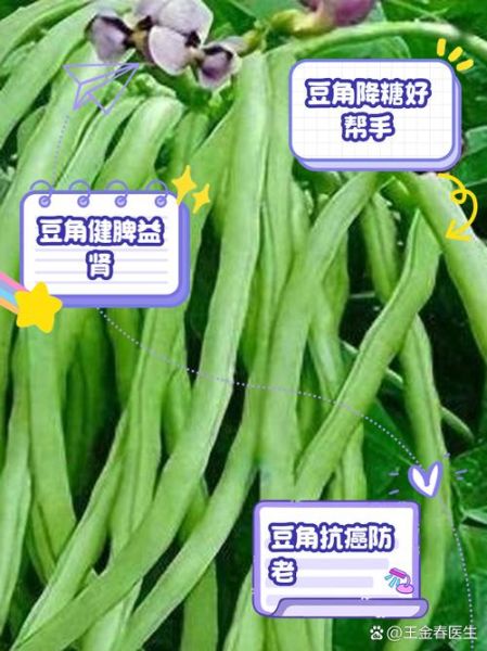 白豇豆的功效与作用_白豇豆怎么吃最养脾胃-第1张图片-山城妙识