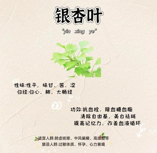 银杏叶片的功效与作用_银杏叶片副作用有哪些-第2张图片-山城妙识