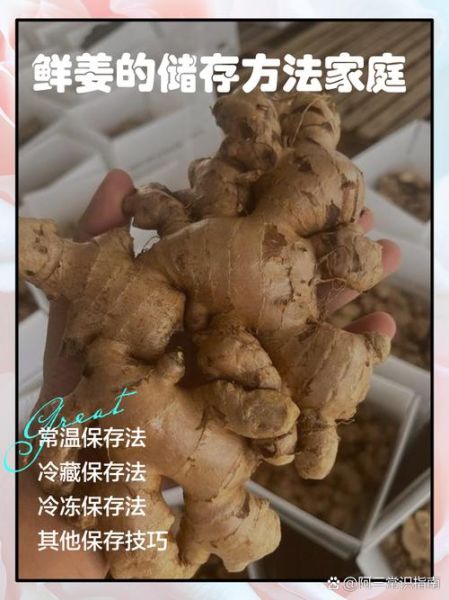 鲜姜怎么腌制又脆又辣_鲜姜如何长期保存不发芽-第3张图片-山城妙识