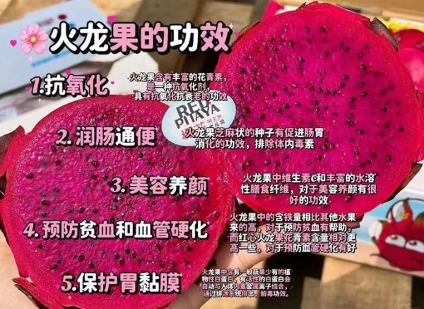 红心火龙果的功效与作用_红心火龙果能减肥吗-第2张图片-山城妙识