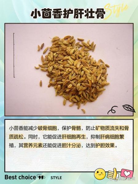 小茴香的功效与作用是什么_小茴香怎么吃效果最好-第1张图片-山城妙识