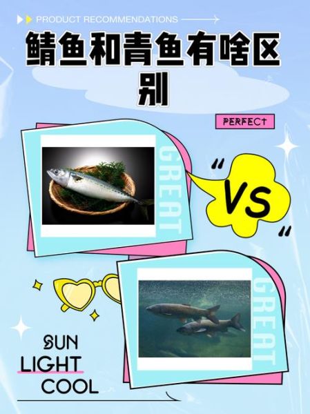野生青鱼图片大全_野生青鱼怎么分辨真假-第1张图片-山城妙识