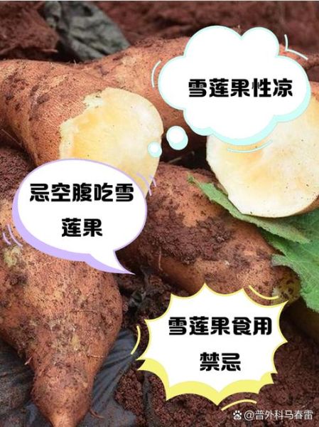 雪莲果可以炒着吃吗_雪莲果炒着吃的做法大全-第3张图片-山城妙识