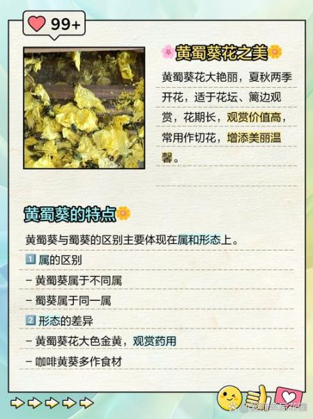 黄蜀葵花粉的功效与作用_黄蜀葵花粉怎么吃-第1张图片-山城妙识