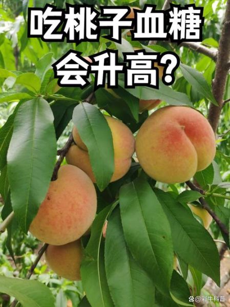 糖尿病可以吃樱桃吗_樱桃升糖指数高吗-第3张图片-山城妙识 糖尿病可以吃樱桃吗_樱桃升糖指数高吗-第3张图片-山城妙识