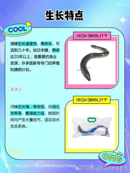 鳗鲡和鳗鱼的区别_鳗鲡是不是鳗鱼-第1张图片-山城妙识