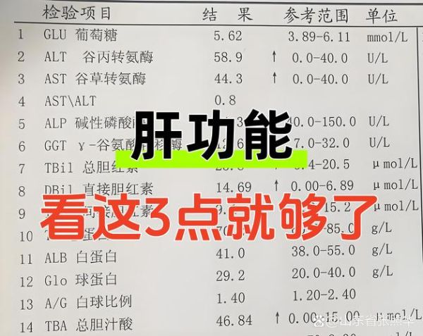 转氨酶多高算肝炎_谷丙转氨酶正常值是多少-第1张图片-山城妙识