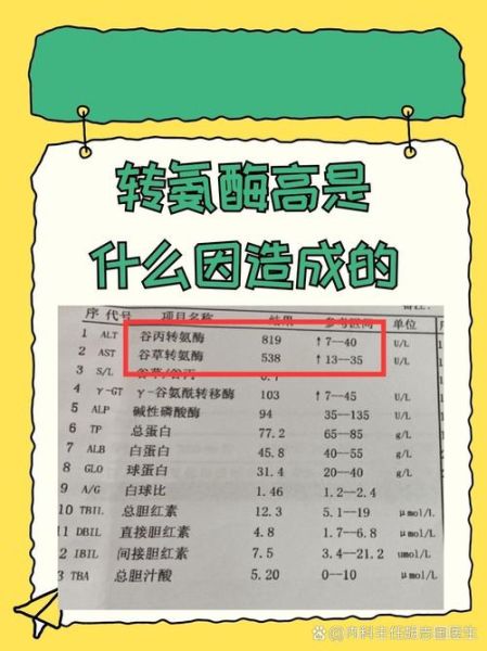 转氨酶多高算肝炎_谷丙转氨酶正常值是多少-第3张图片-山城妙识