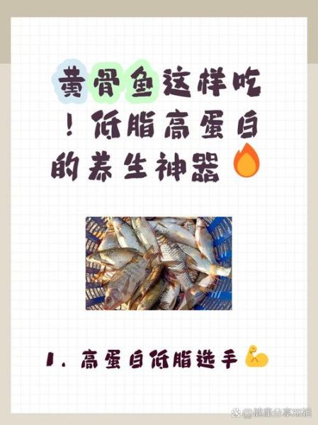 黄骨鱼的功效与作用_黄骨鱼适合什么人吃-第2张图片-山城妙识